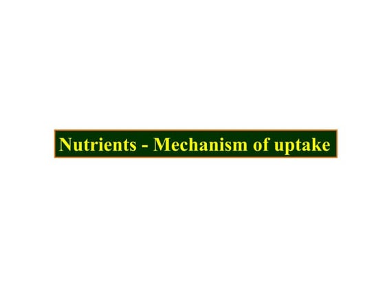 Mechanism of nutrient uptake in plants | PPTX | Chemistry | Science