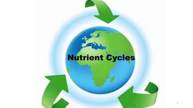 nutrient cycles powerpoint presentation | PPTX
