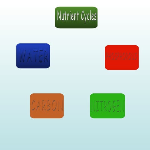 Nutrient Cycling | PPT