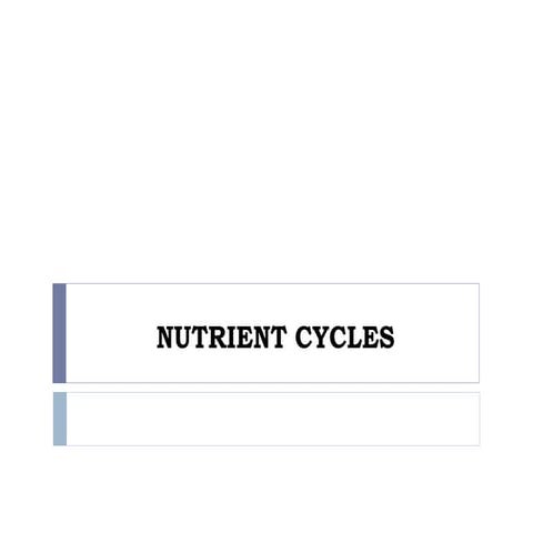 NutrientCycling.ppt | Science
