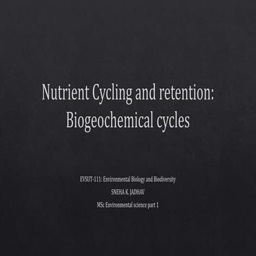Nutrient Cycling And Retention Pptx