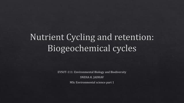 Nutrient Cycling And Retention Pptx