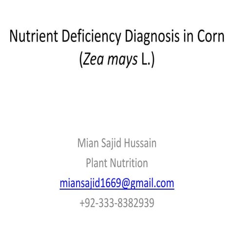 Nutrient deficiency diagnosis in Corn and Potato | PDF