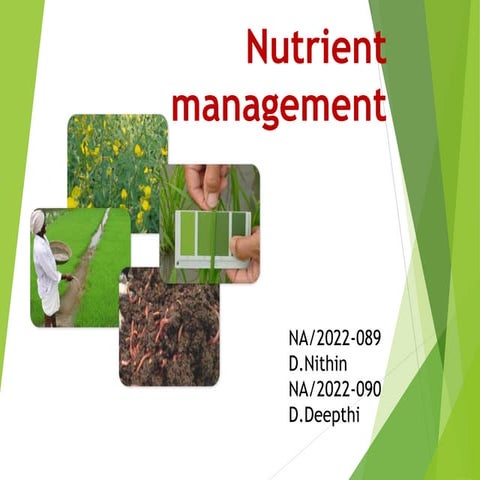 Nutrient management for paddy -WPS Office.pptx | Agriculture | Industries