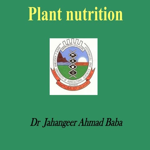 Plant Nutrition | PPT