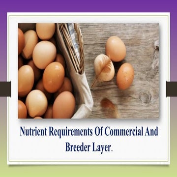 Nutrient requirements of commercial and breeder layer.pptx