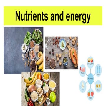 Nutrients and energy (1).pptx........... | PPTX