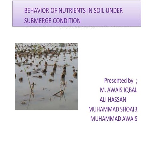 Nutrients behavior under submerg soil | DOCX