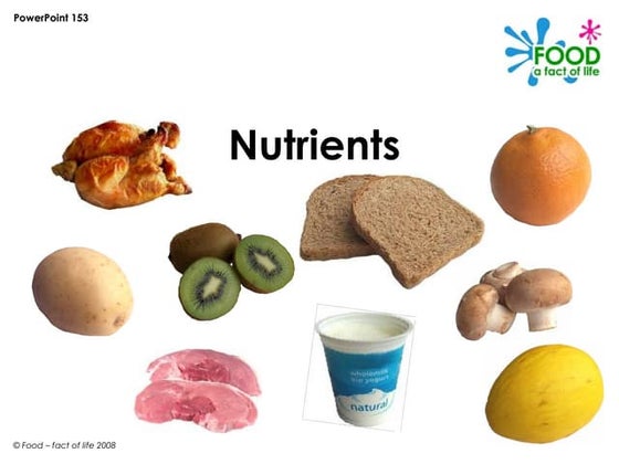 The Six Essential Nutrients: Lesson Plan And Worksheet | PDF