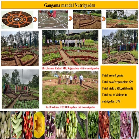 Nutritional security through nutrigarden | PPT