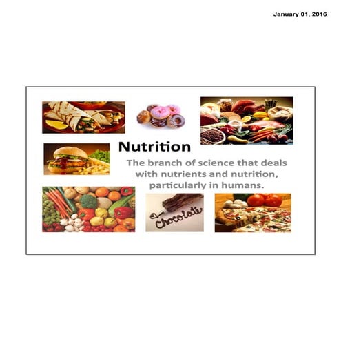 Nutrition Powerpoint | PDF