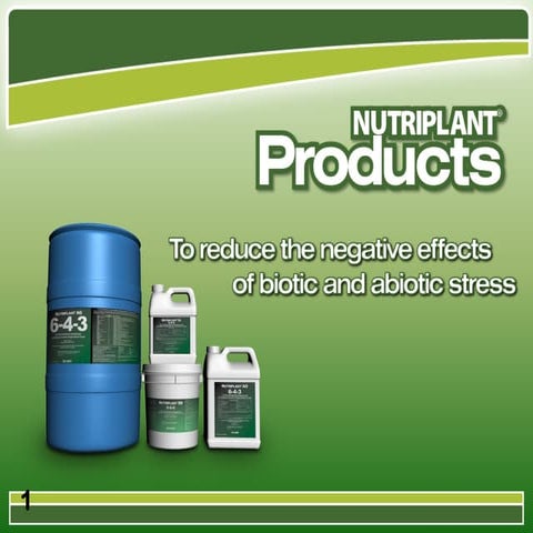 Nutriplant sd ag 2012 | PDF