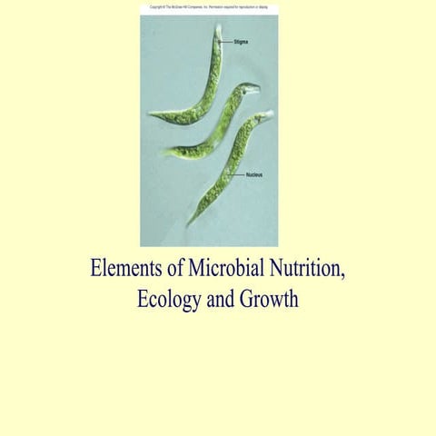 Nutritional classification of microorganisms | PDF