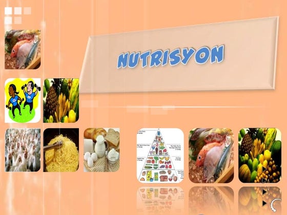 The Six Essential Nutrients: Lesson Plan And Worksheet | PDF