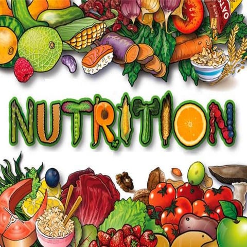 The 6 caribbean food groups | ODP