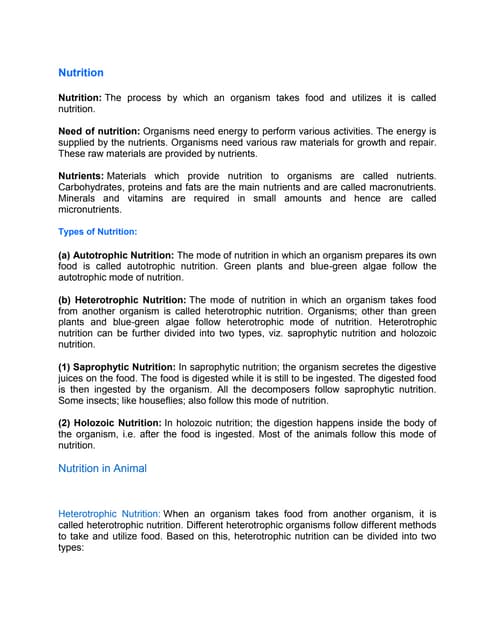 5 Holozoic Nutrition Steps: Holozoic Nutrition in Amoeba | PDF ...