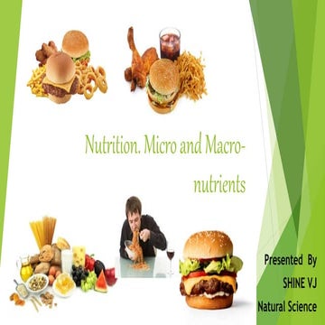 Nutrition | PPTX