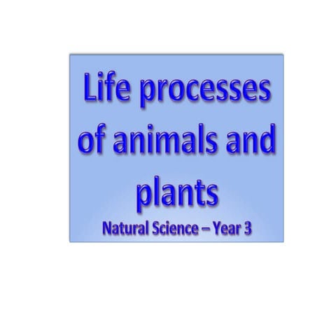 Life processes | PPT