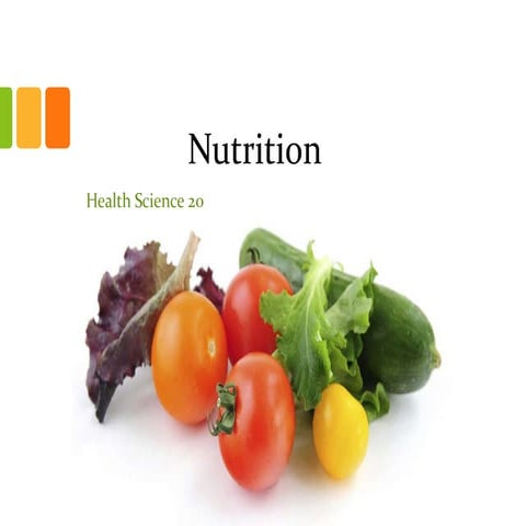Nutrition Overview | PPTX