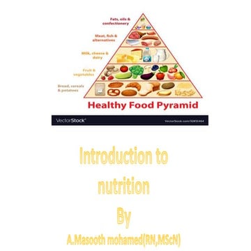 .Dr. Patricia Benner novice to expert theory | PPTX