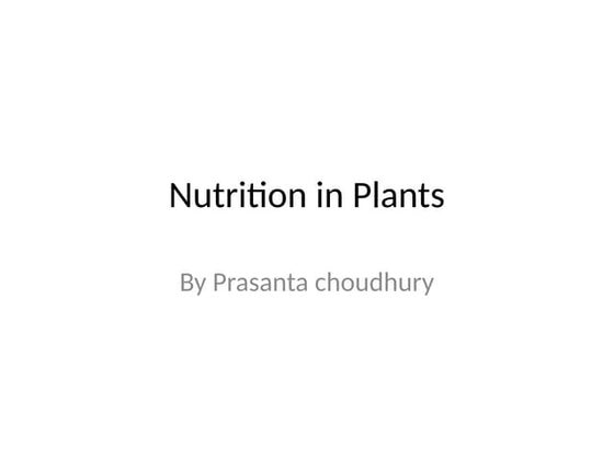 Chapter - 1, Nutrition in Plants, Science, Class 7 | PDF