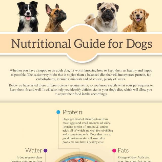 Nutritional guide-for-dogs | PDF