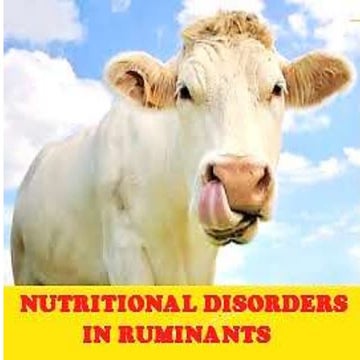 Nutritional Diseases Caused By Vitamins Deficiencies in Animals | PPTX