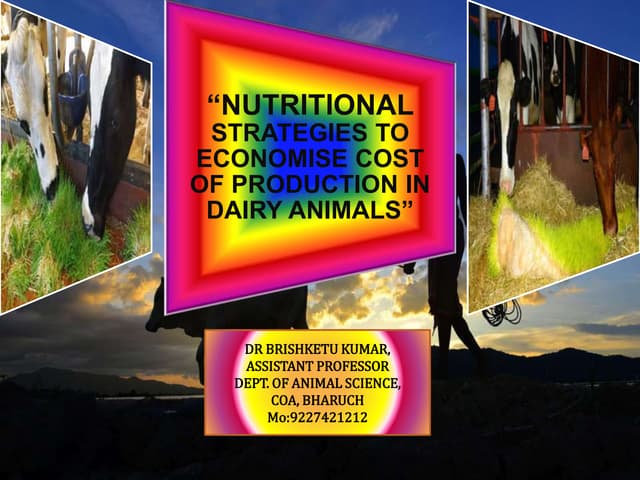 Feeding Management Strategies for Healthy and Productive Livestock | PPTX