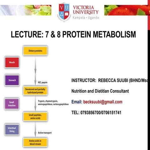 Nutrition and Metabolism of Proteins.pptx