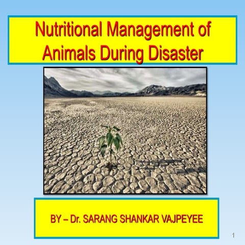 Nutritional Management of Animals during disaster | PPT