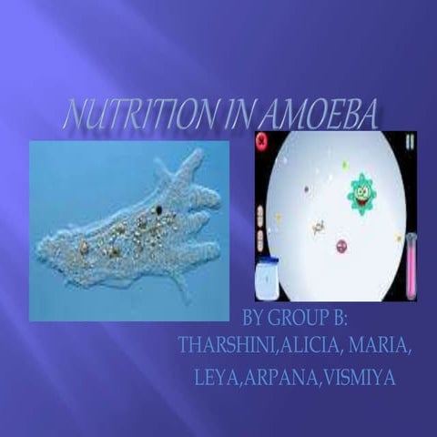 Nutrition in amoeba | PPT