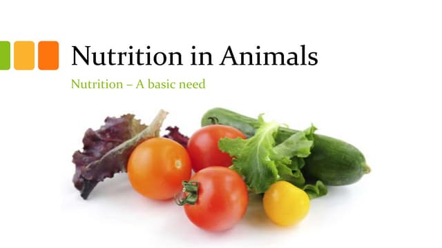 ANIMAL NUTRITION AND FEEDING LECTURE CONTENT | PDF