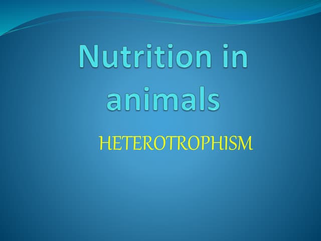 Dentition in Mammals | PPTX