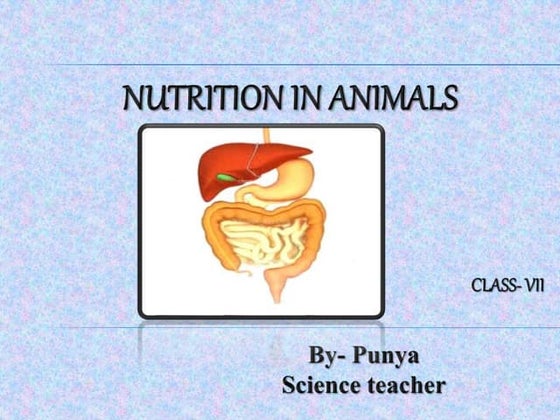 Digestive System, lecture powerpoint Grade 8.pptx