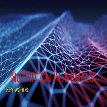 NUTRITION IN ANIMALS.pptx