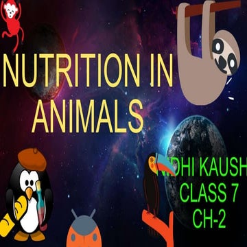 Nutrition in animals | PPT | Free Download