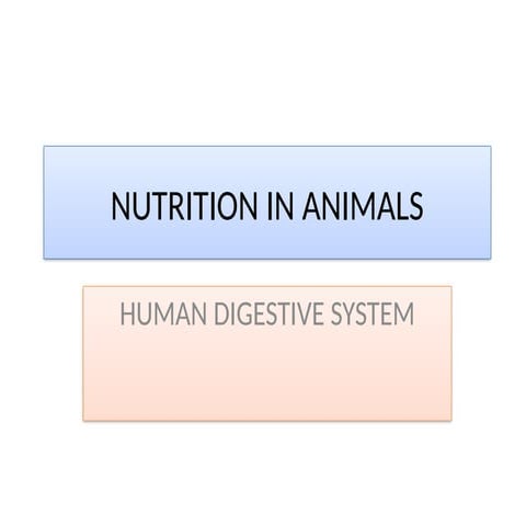 DIGESTIVE SYSTEM OF FROGS AND HUMANS.pdf