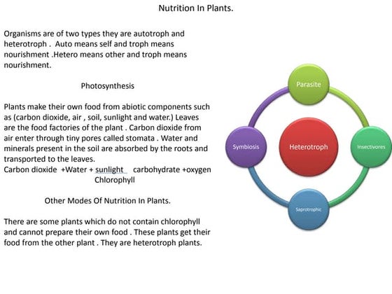 Nutrition in Plants | PPT