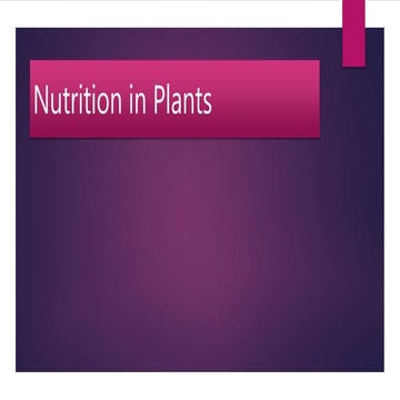 Nutrition in plants GRADE 7 | PPTX