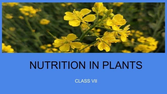 Chapter - 1, Nutrition in Plants, Science, Class 7 | PPT