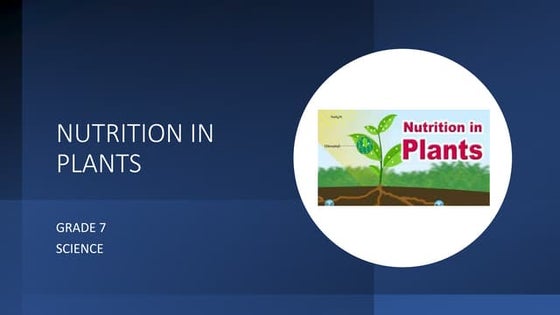 Nutrition in Plants | PPT
