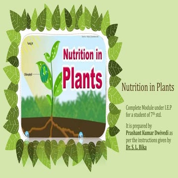 Nutrition in plants for 7th std Science | PPT