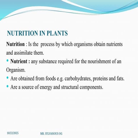 Nutrition in plants final.pptx dfgwsfgQEFq | PPTX