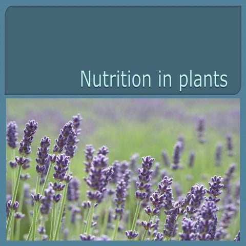 Nutrition in plants 2018 | PPT