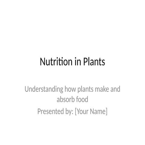 Comprehensive Overview of Plant Nutrition and Photosynthesis Processes ...