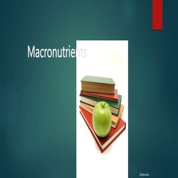 Nutrition Macronutrients.pptx