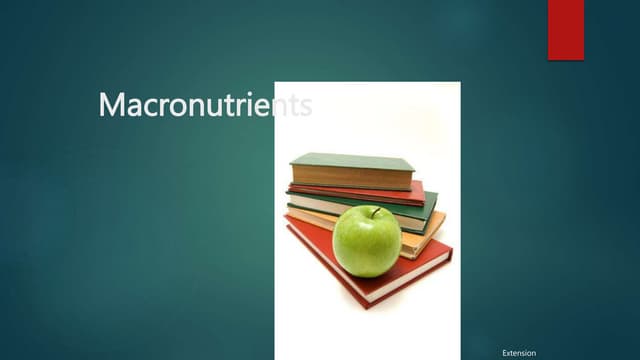 Biology: B1 Revision (AQA) | PPT