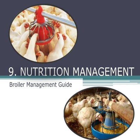 Broiler Medicine Schedule Chart - Broiler Farming Made Easy | PDF