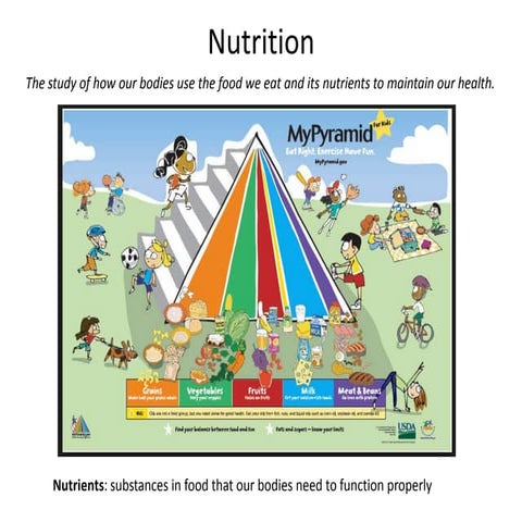 Nutrition powerpoint | PPTX | Nutrition | Healthy Living