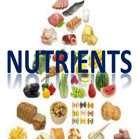 biology - vitamins-types, functions, properties | PDF
